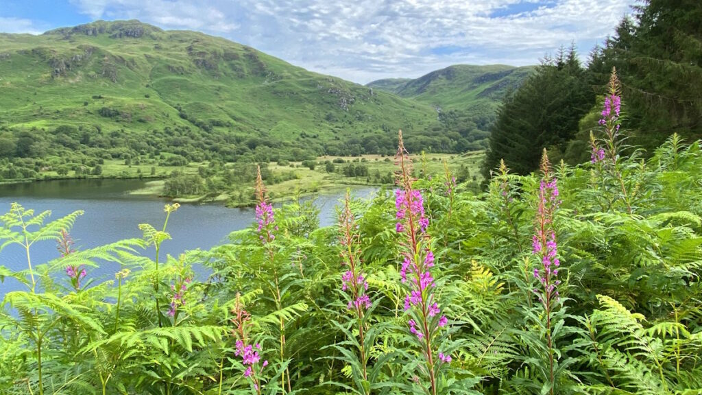 List of walking festivals | Walking Post