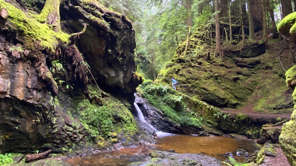 Popular Puck’s Glen hiking spot in Scotland closed due to storm damage ...